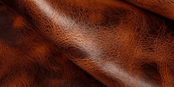 How to Get Rid of Smell from Leather – Does Leather Absorb Smells ...
